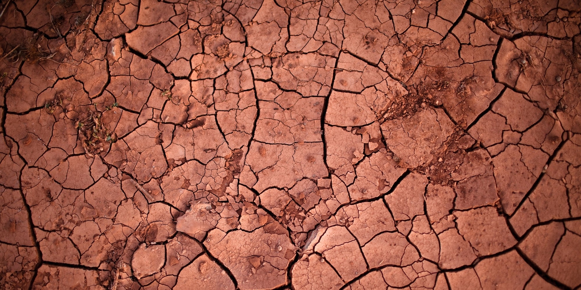 How to treat men's dry skin? The Ultimate Guide | Mencare